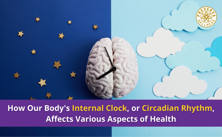 How Our Body's Internal Clock, or Circadian Rhythm, Affects Various As ...